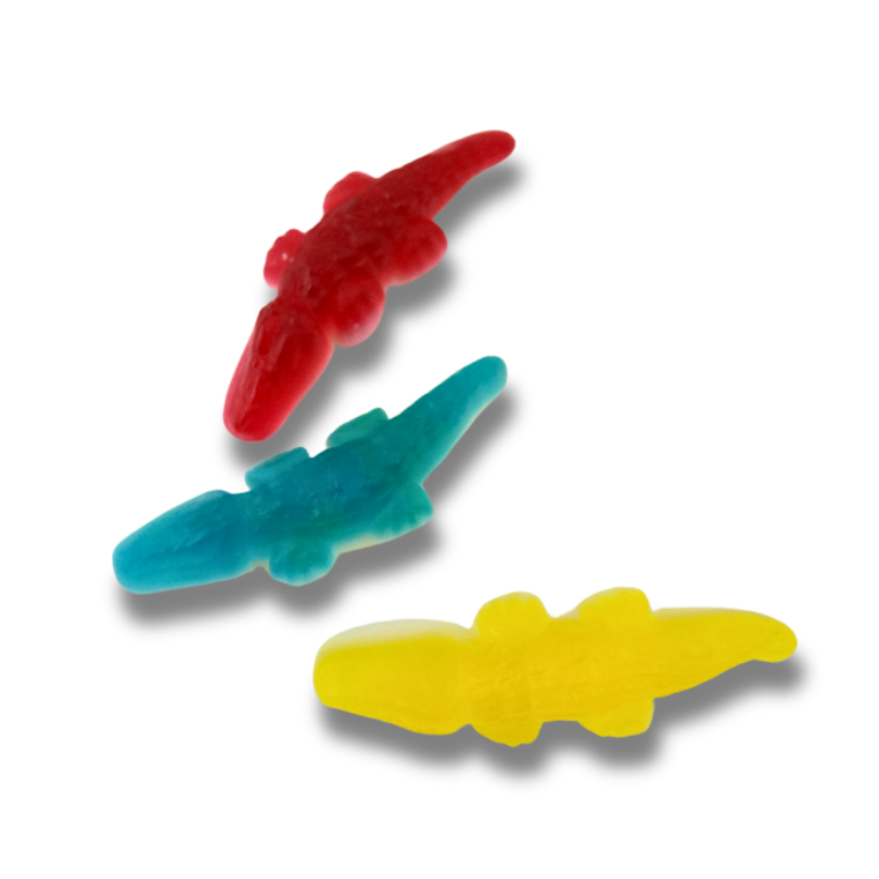 Gummy Crocodiles (100g) | Joyofsweets.com – JoyofSweets.com